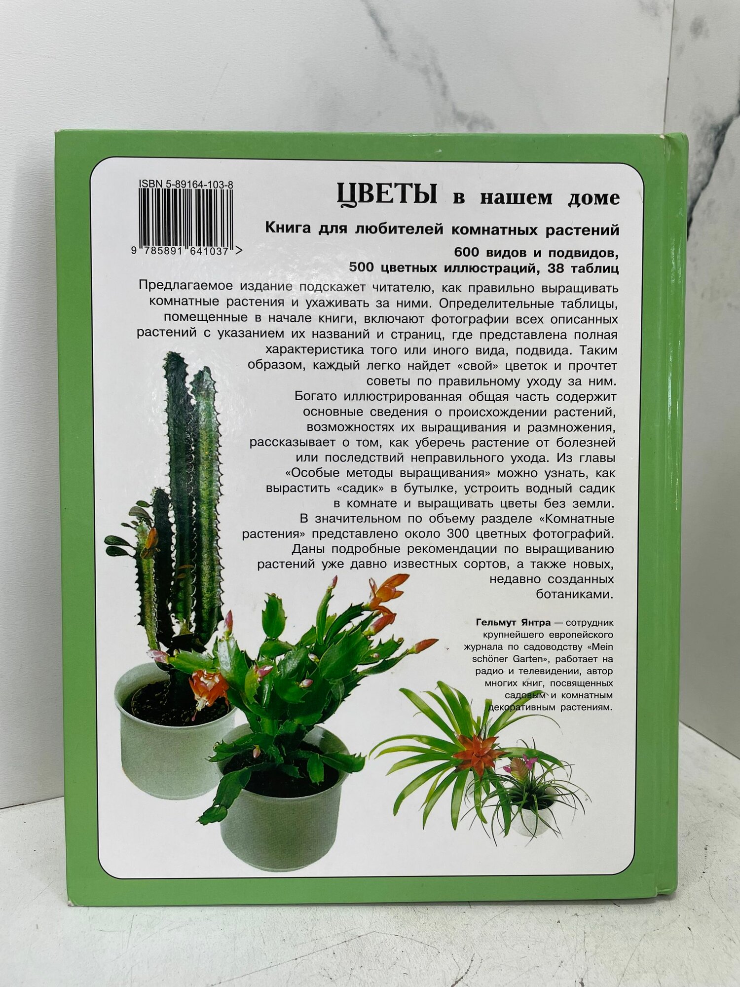 Цветы в нашем доме — фото 1