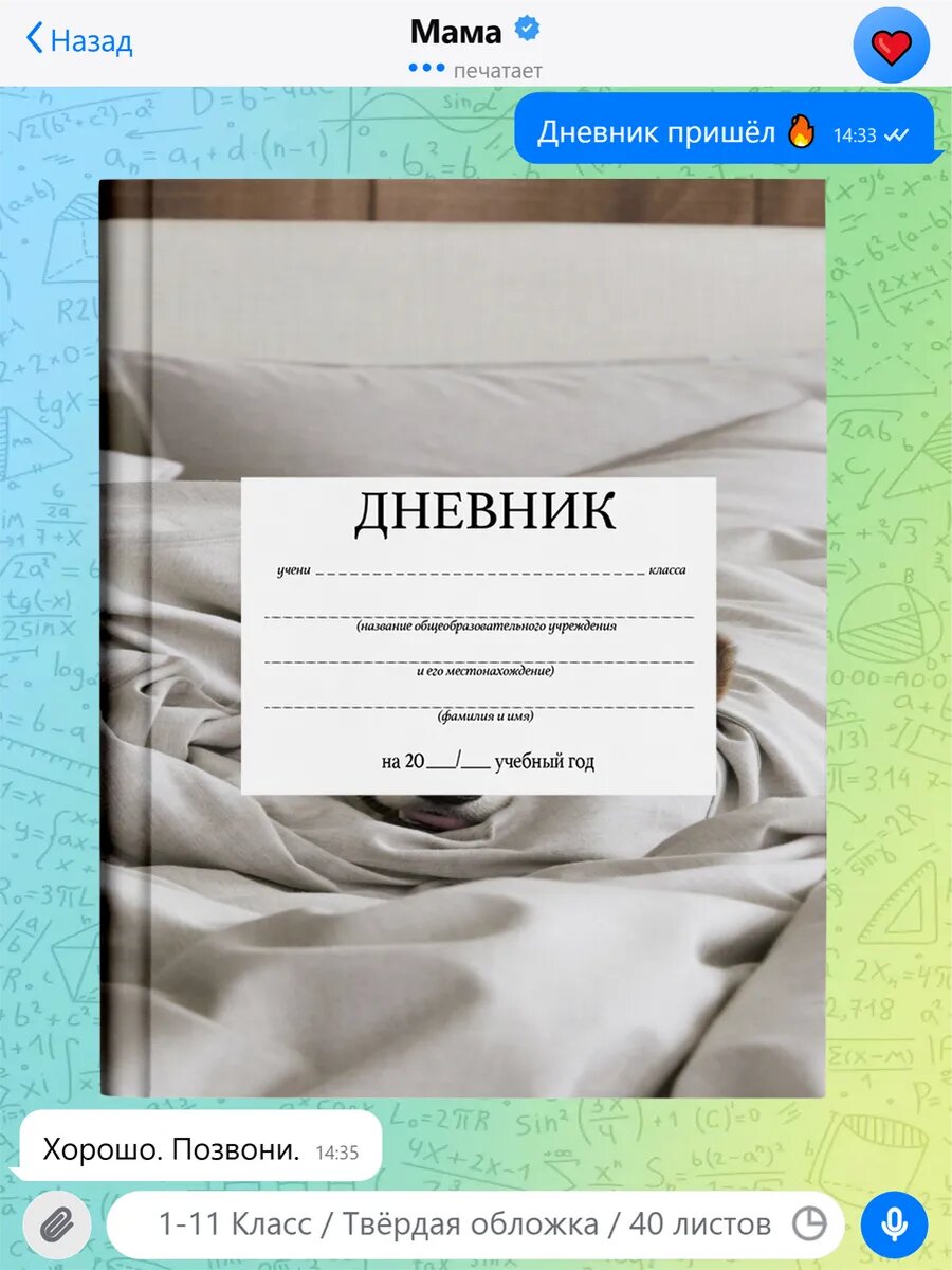 Школьный дневник с принтом y2k pinterest
