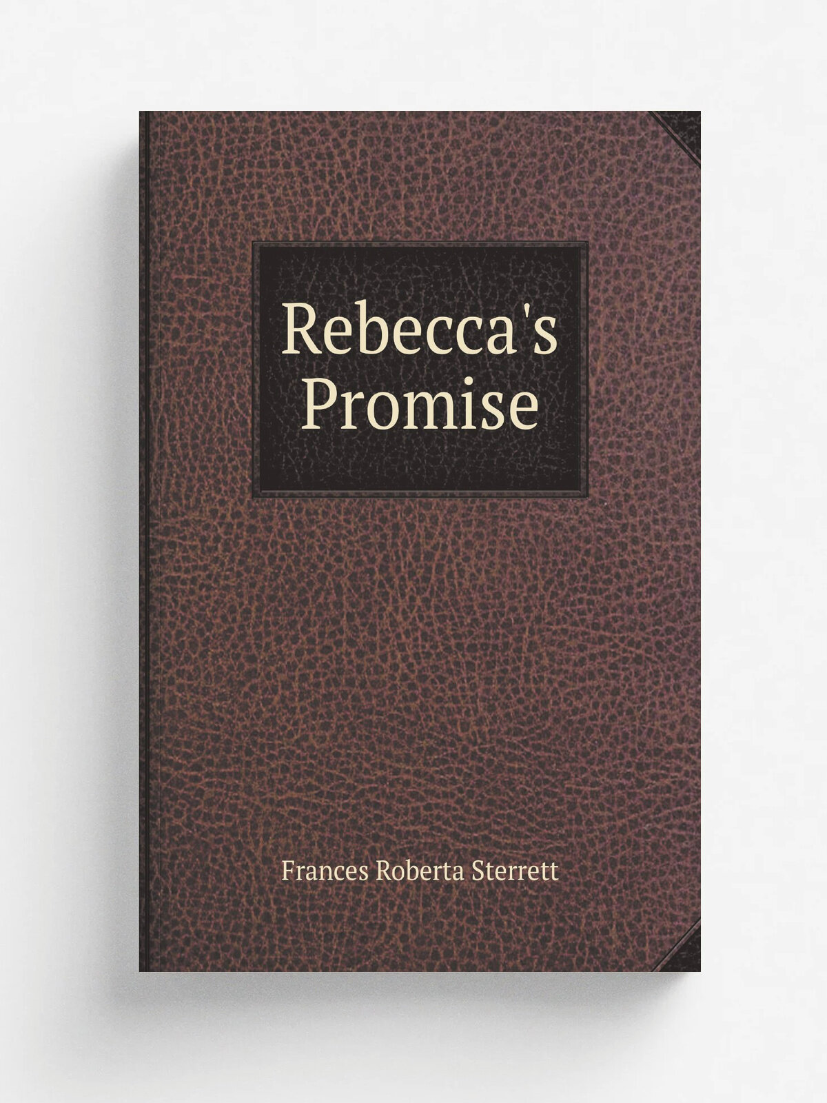 Rebecca's Promise