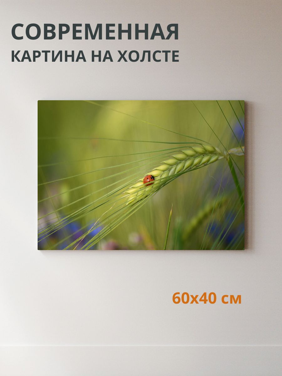 Картина на холсте Божья коровка на колосьях 60x40 см