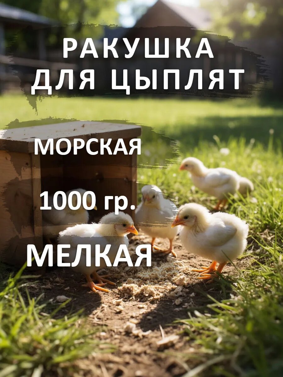 Ракушка для цыплят мелкая 1кг