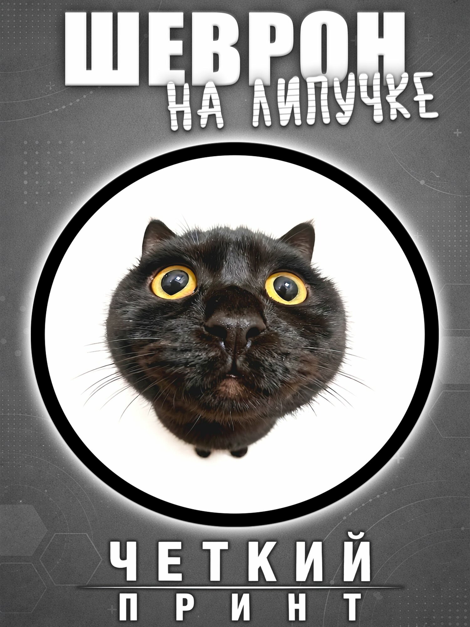 Шеврон кот зум