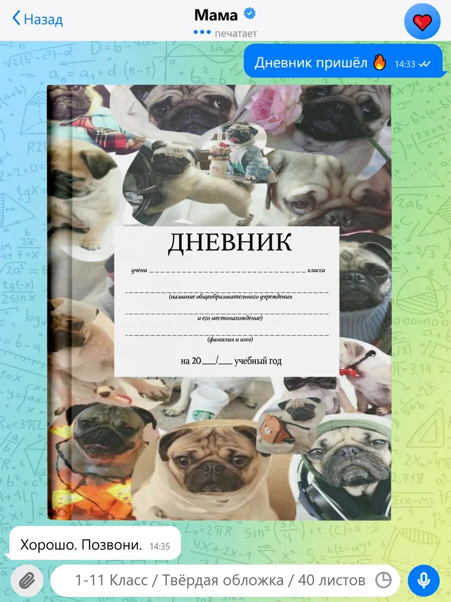Школьный дневник с принтом Бравл Старс
