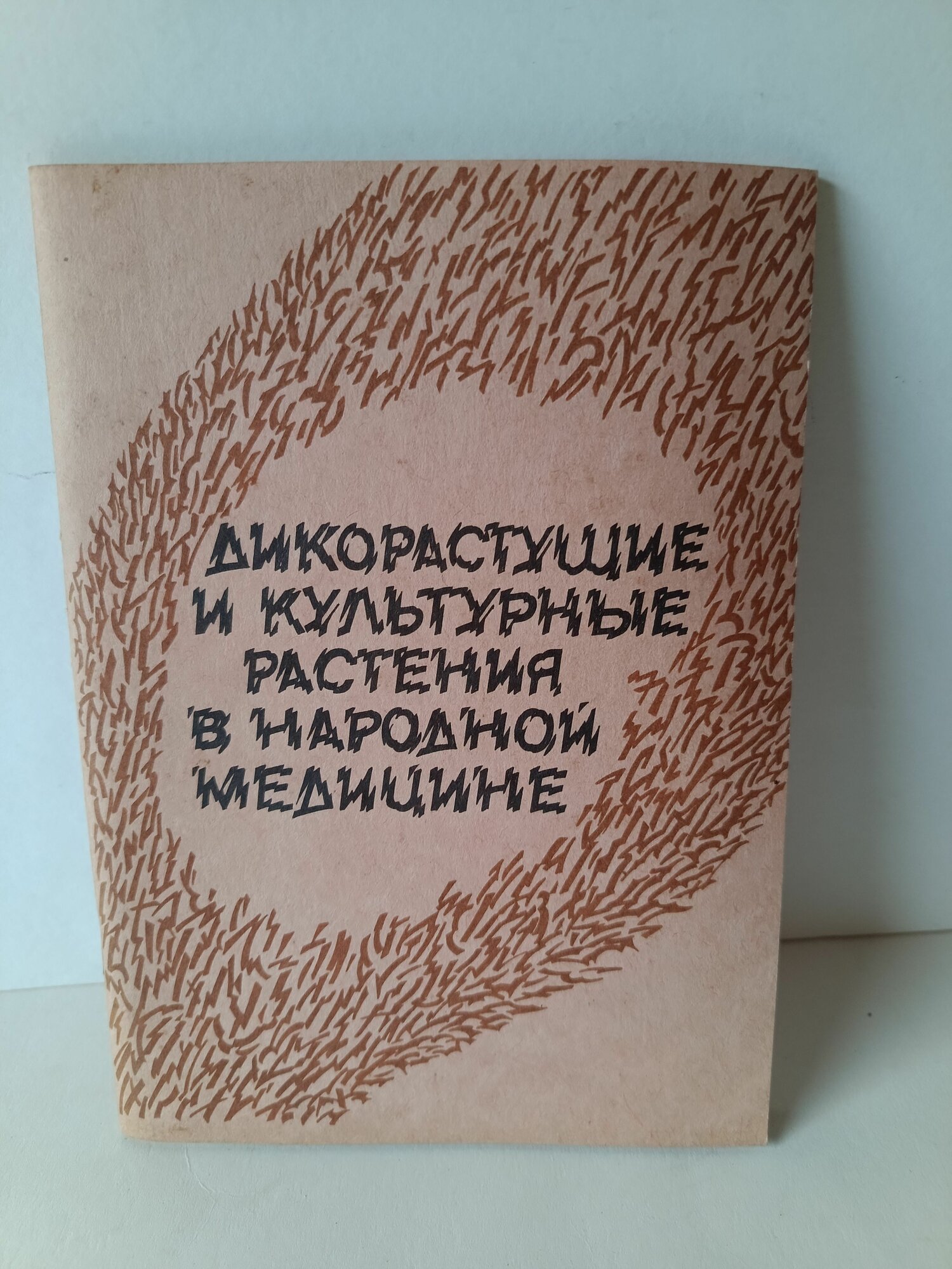 Дикорастущие и культурные растения в народной медицине