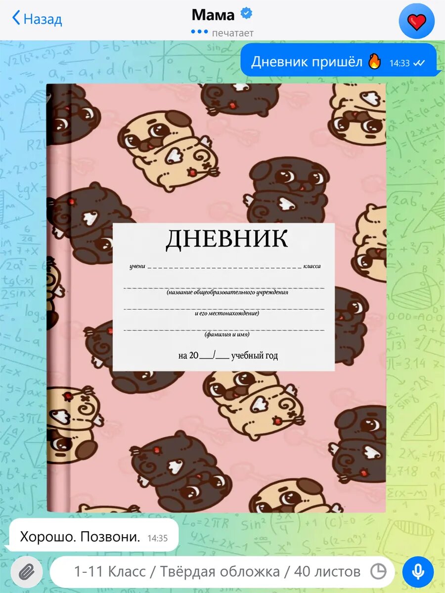 Школьный дневник с принтом y2k pinterest