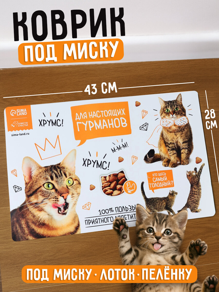 Коврик под миску для кошек, 43 х 28 см, пластик