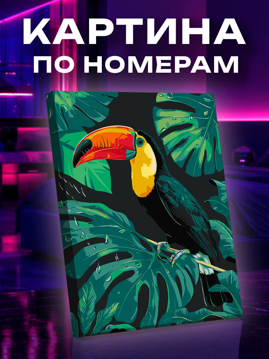 Картина по номерам Тукан