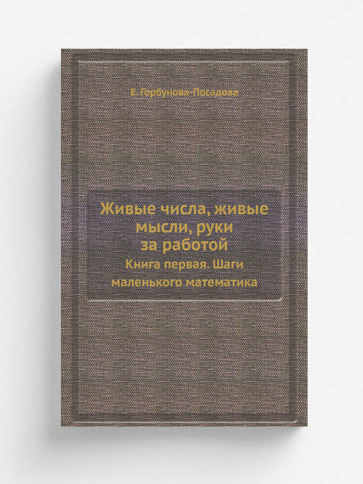 Живые числа, живые мысли, руки за работой. Книга первая. Шаги маленького математика | Е. Горбунова-Посадова | 1923 | Репринт