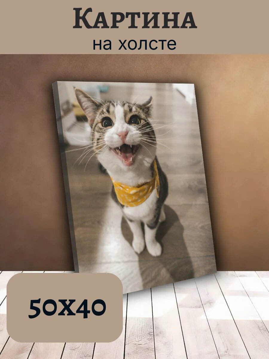Картина Постер Кот Кошка Cat 40x50 веселый полосатый кот