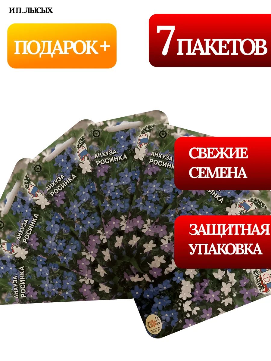 Семена Анхуза "Росинка"