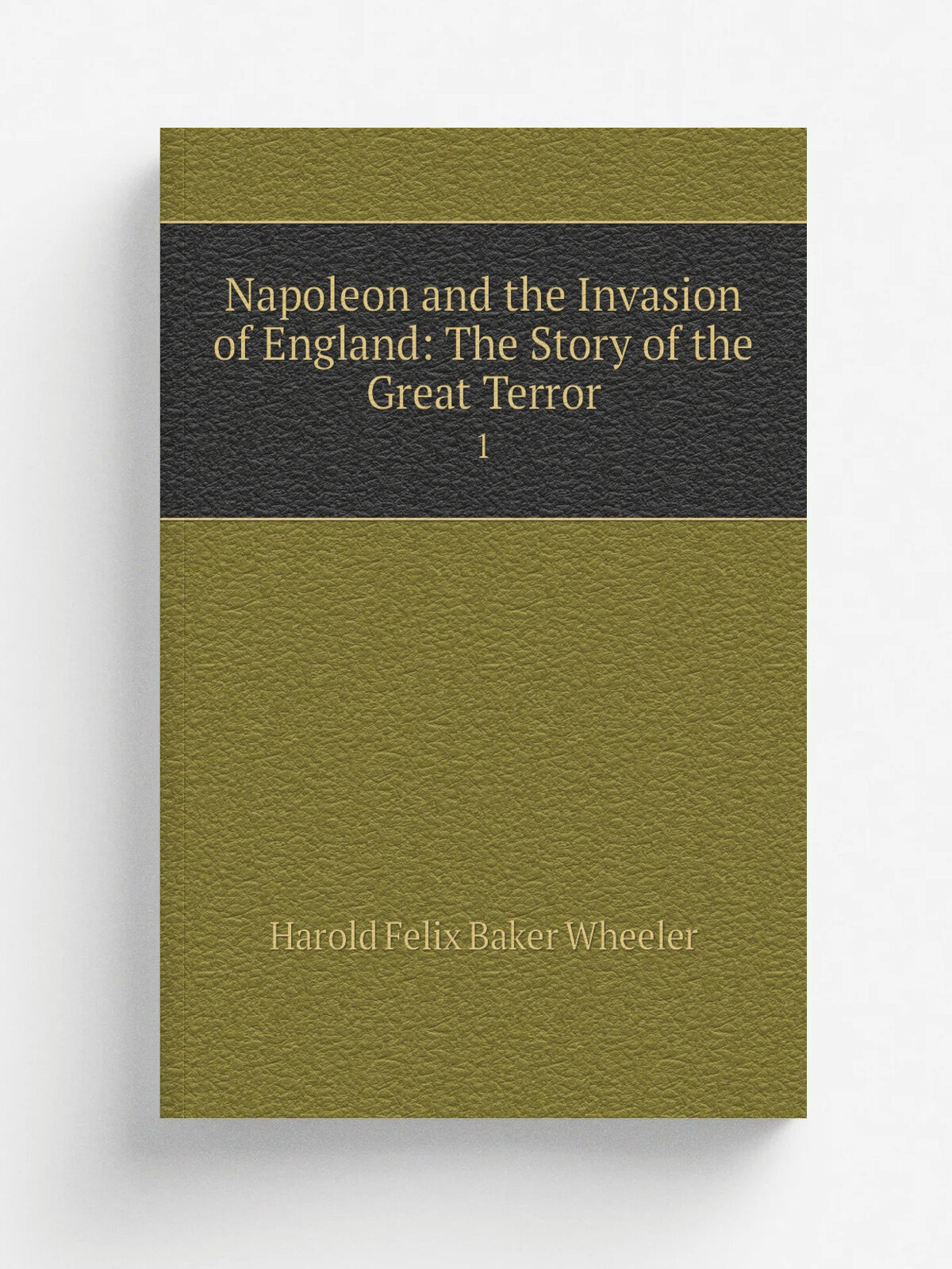 Napoleon and the Invasion of England: The Story of the Great Terror. 1