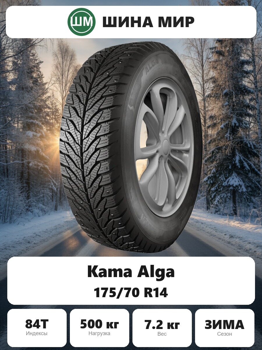 Автомобильная шина Kama Alga (НК-531) 175/70 R14 84T Зимняя Шипованная
