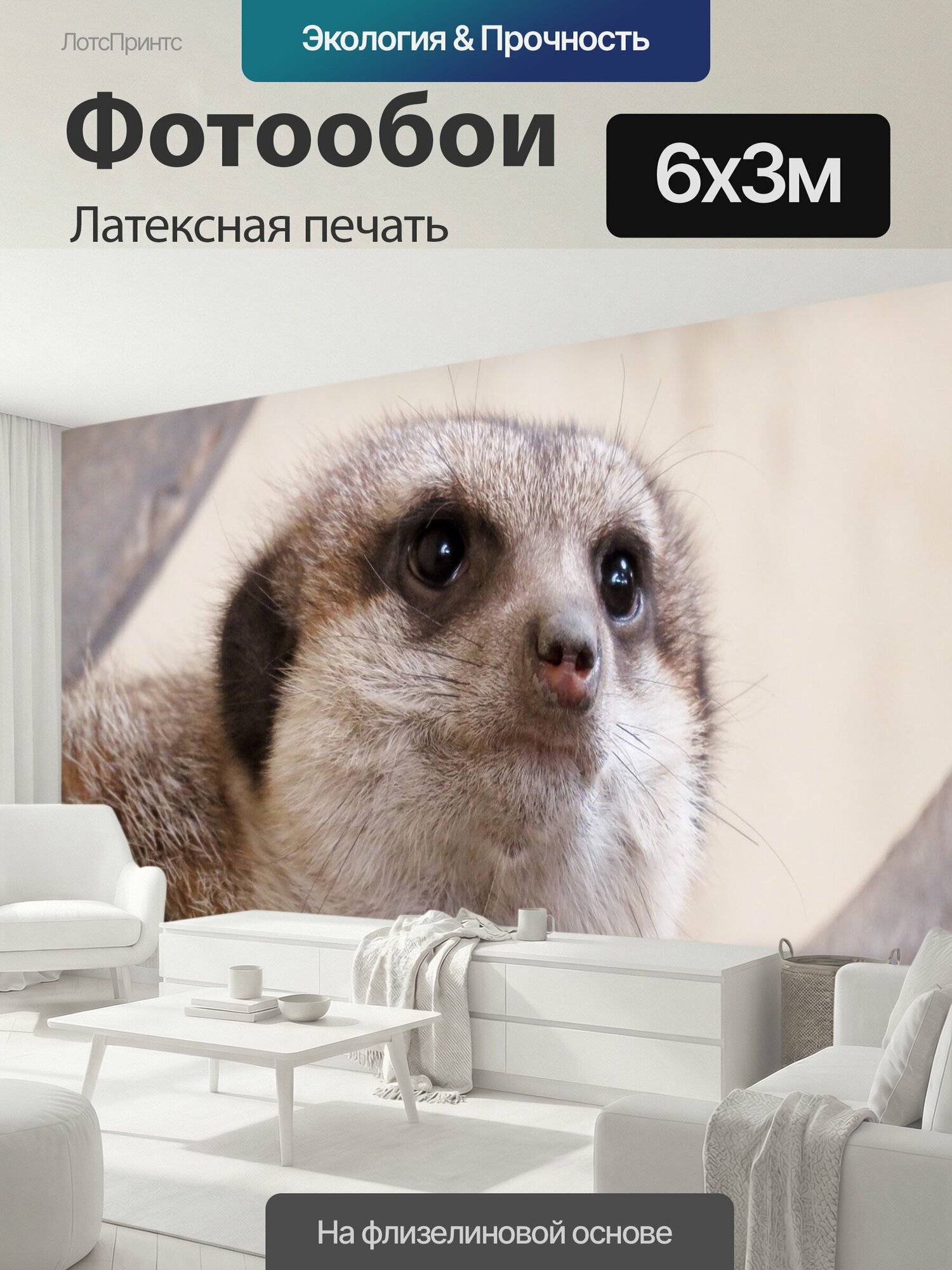 Фотообои моющиеся ударопрочные "Сурикат, мангуста, зоопарк калгари" 600x300 см. латексная печать