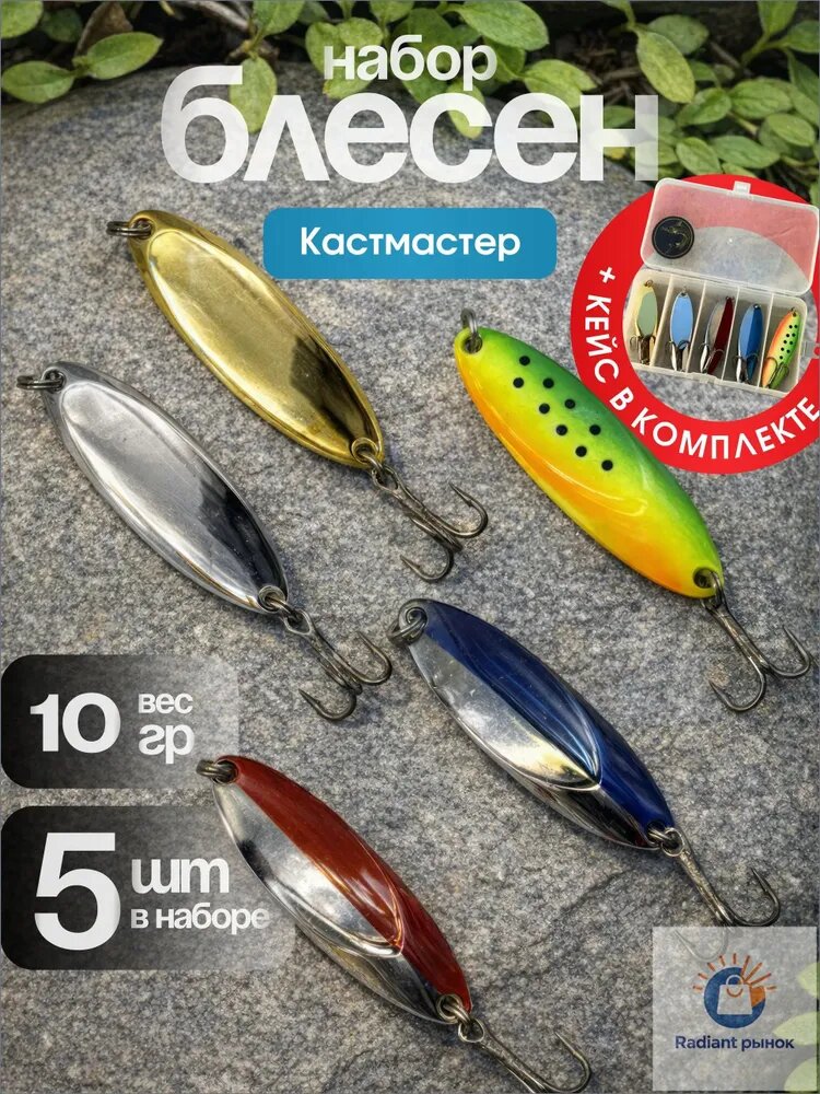 Набор блесен / Кастмастер 5 шт , 10 грамм / Снасти на хищника / Блесна на щуку / Подарочный кейс