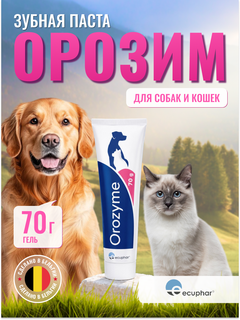 Орозим-гель (туба 70 г)