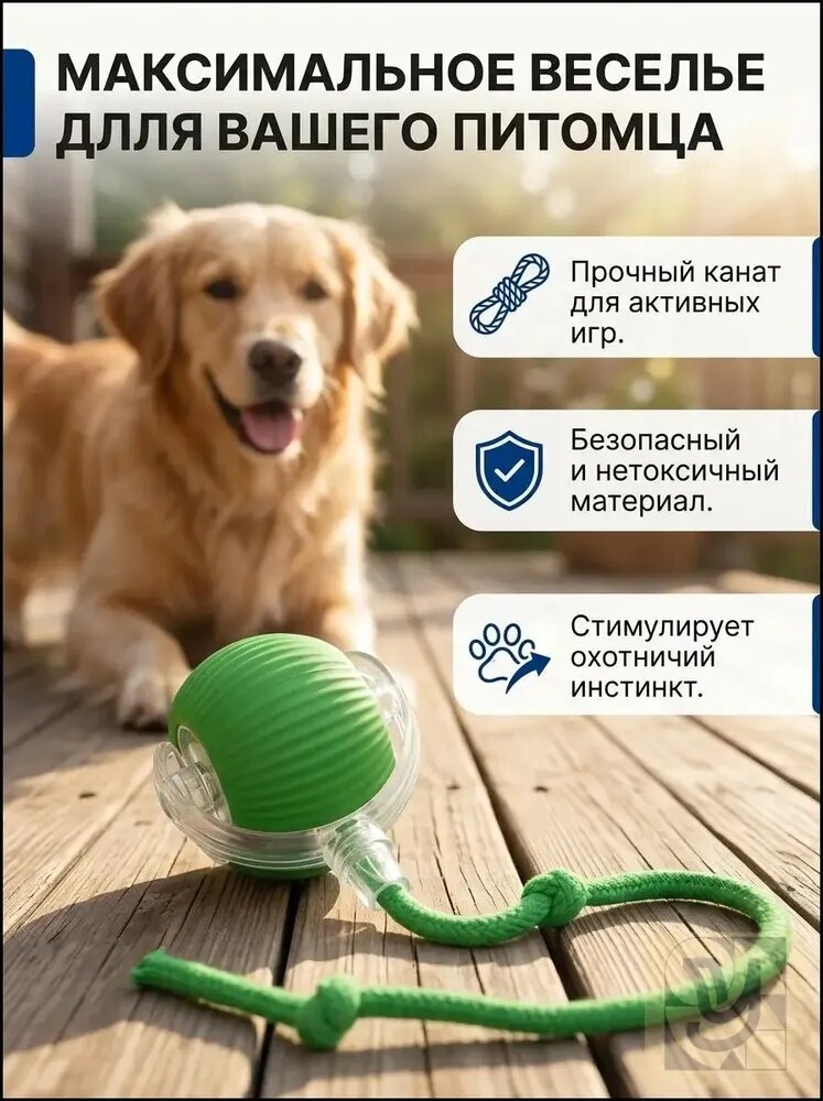 Игрушка для животных, универсальный, зелёный