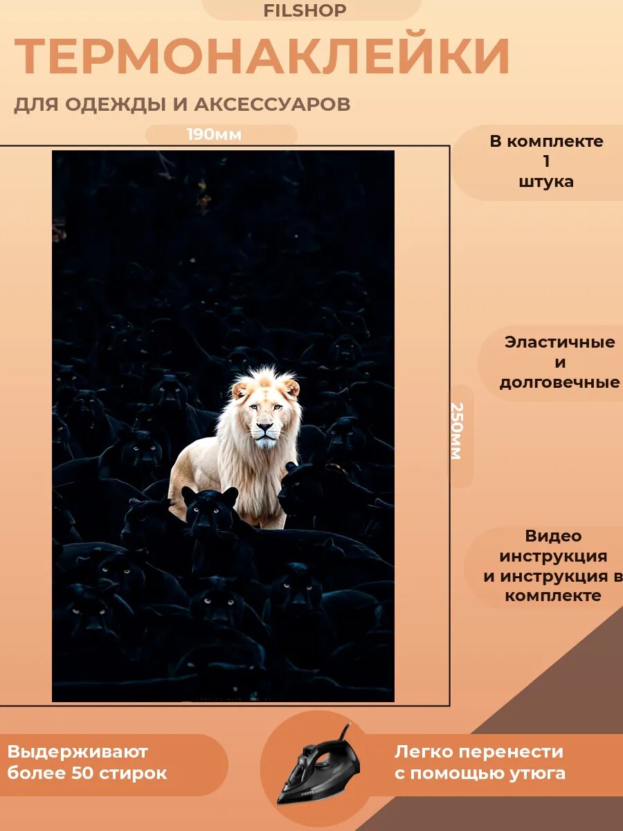 Термонаклейка на одежду