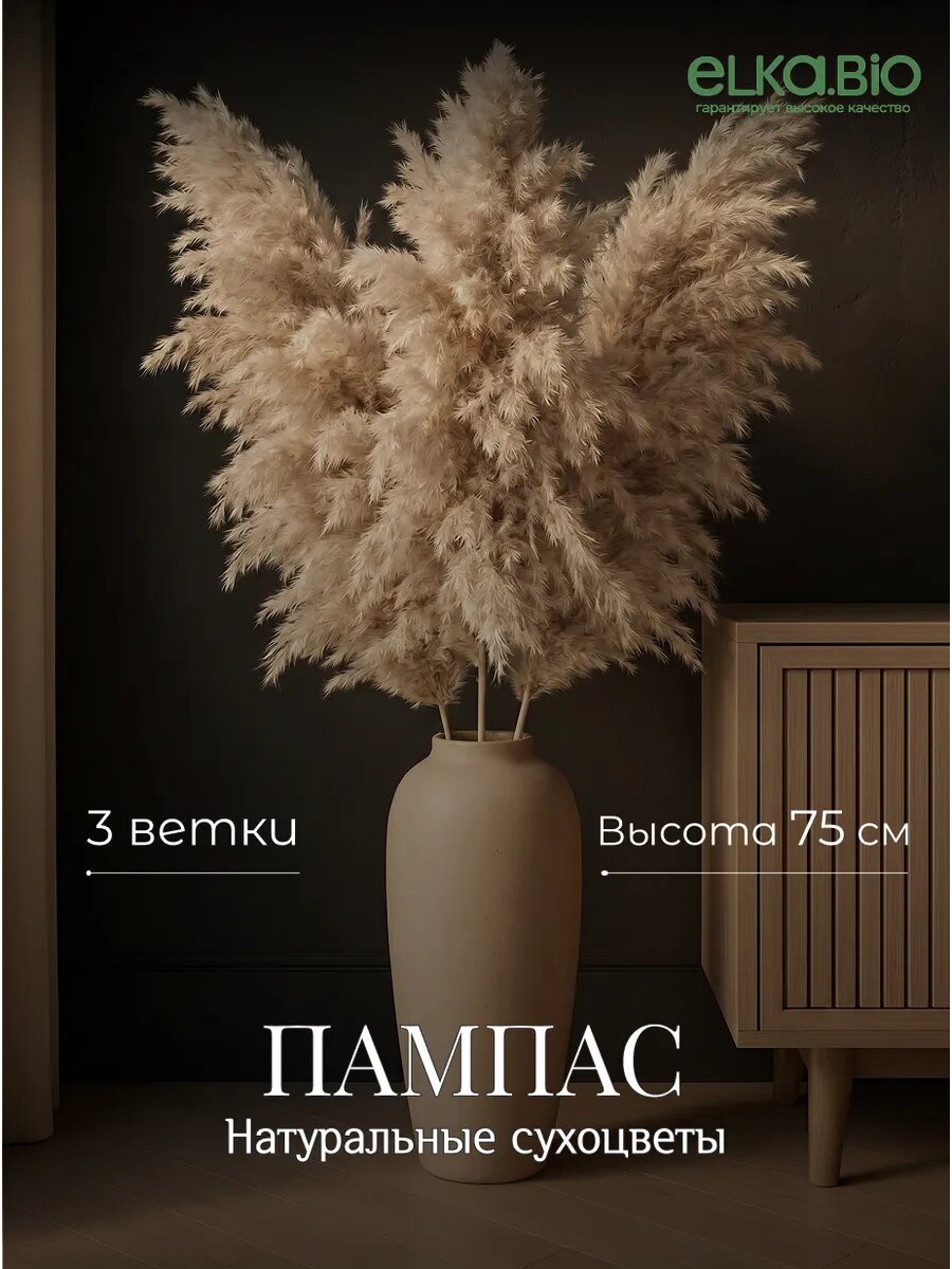 Пампасная трава камыш натуральная 3 шт сухоцветы для декора