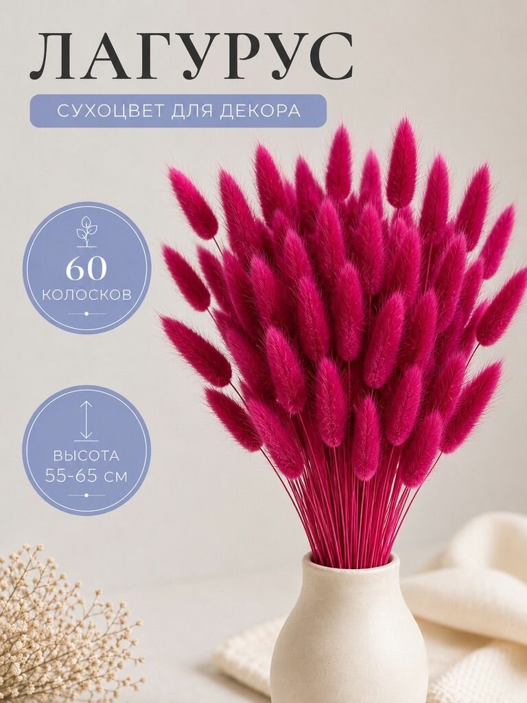 Лагурус сухоцвет для декора зайцехвост