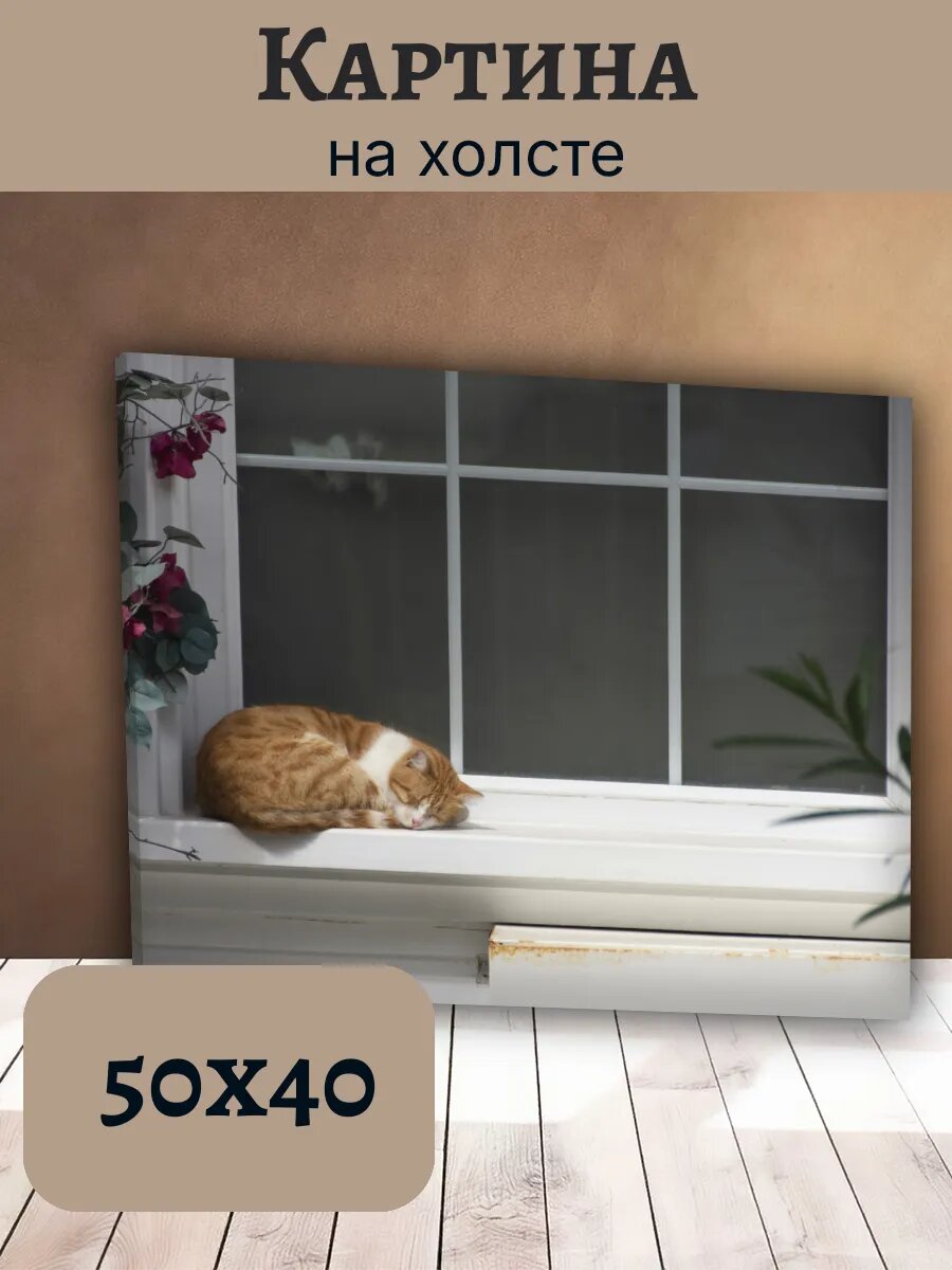 Картина Кот Кошка Cat 40x50 рыжий полосатый кот