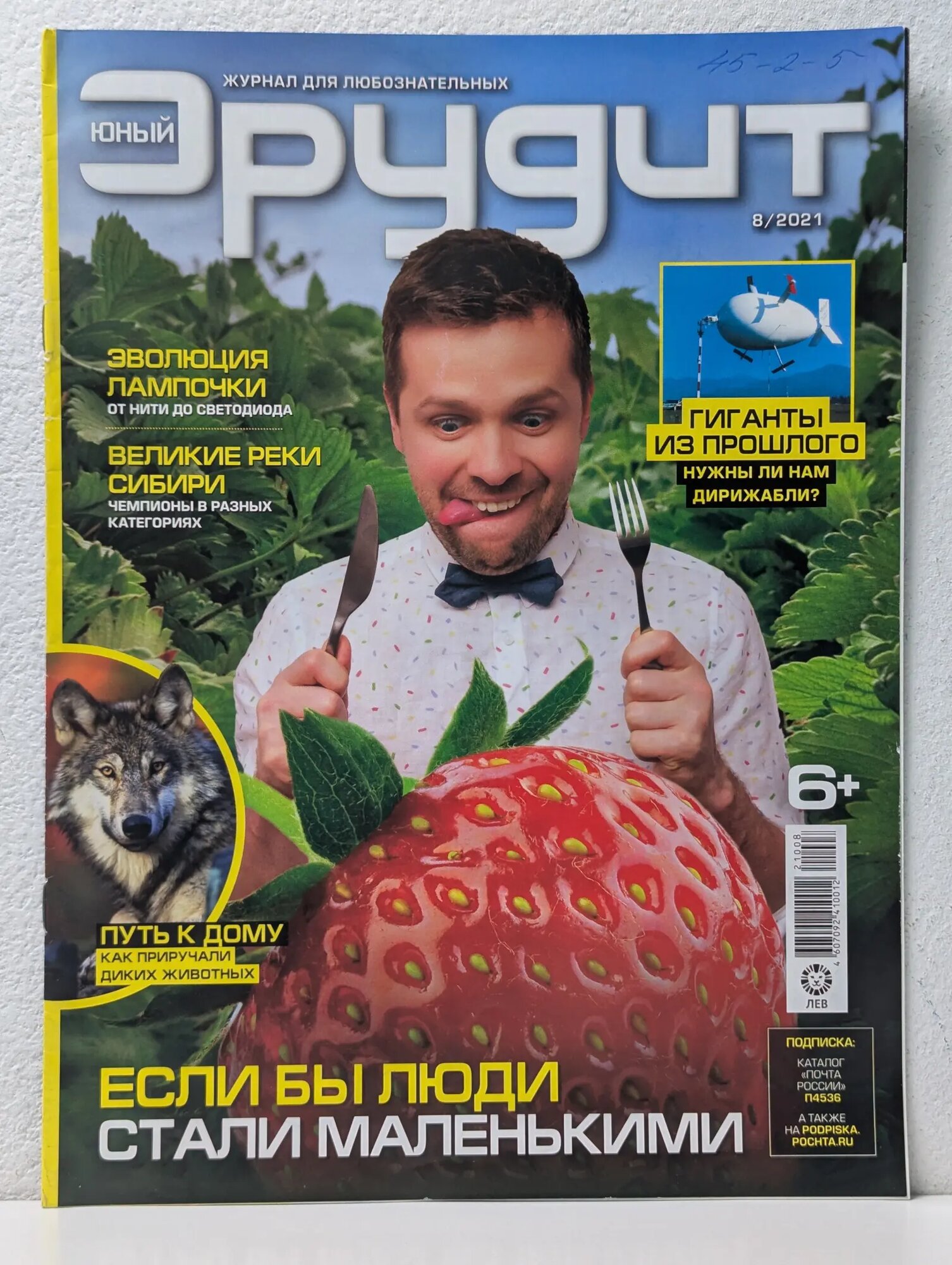 Юный Эрудит. Выпуск № 8/2021 Сборник 2021