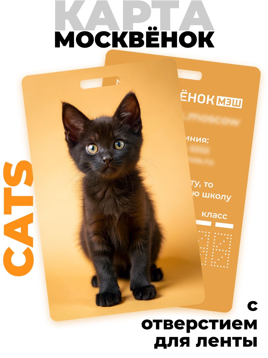 Карта школьника Москвёнок CATS №3