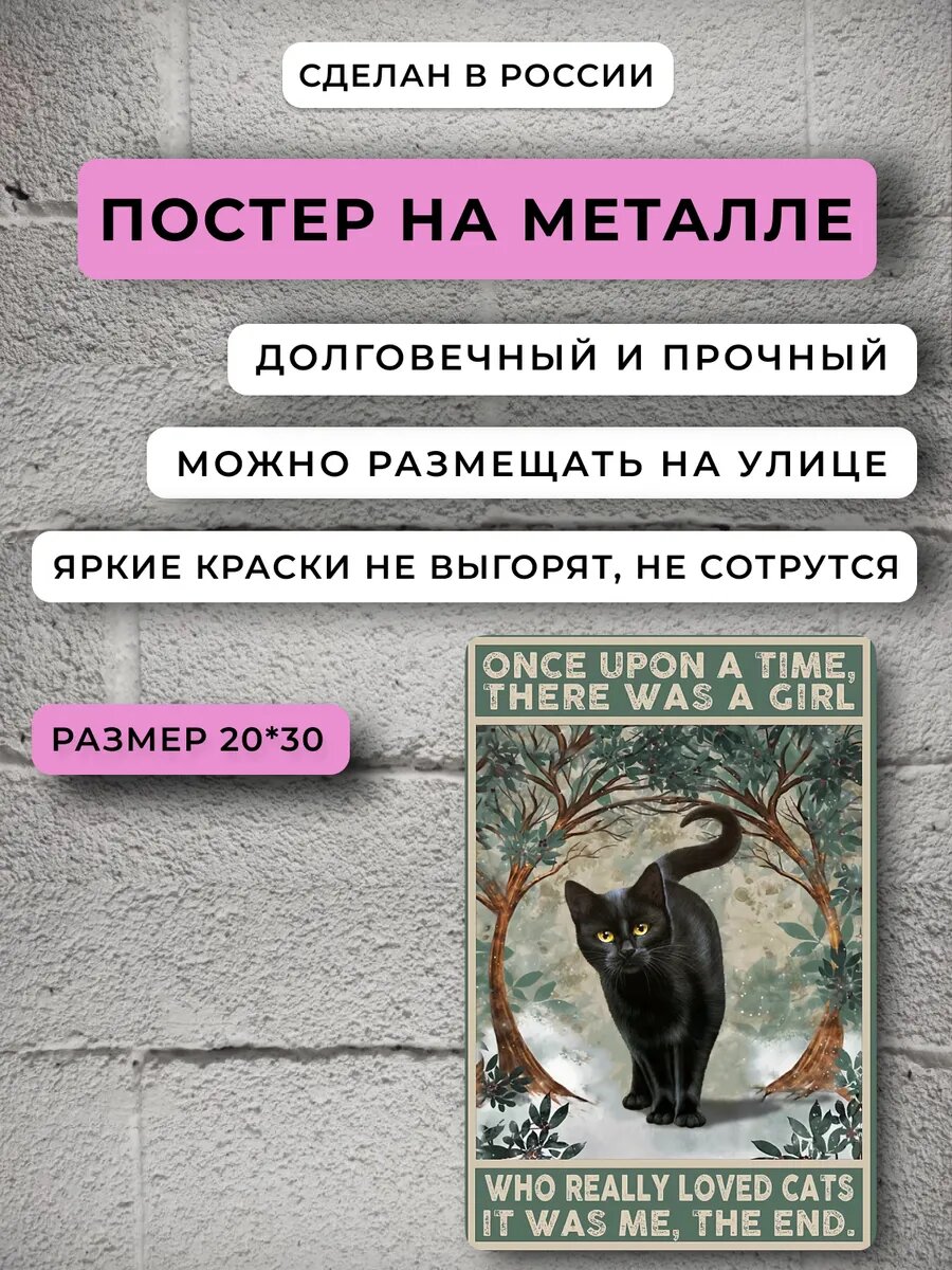 Котик ретро постер — фото 1