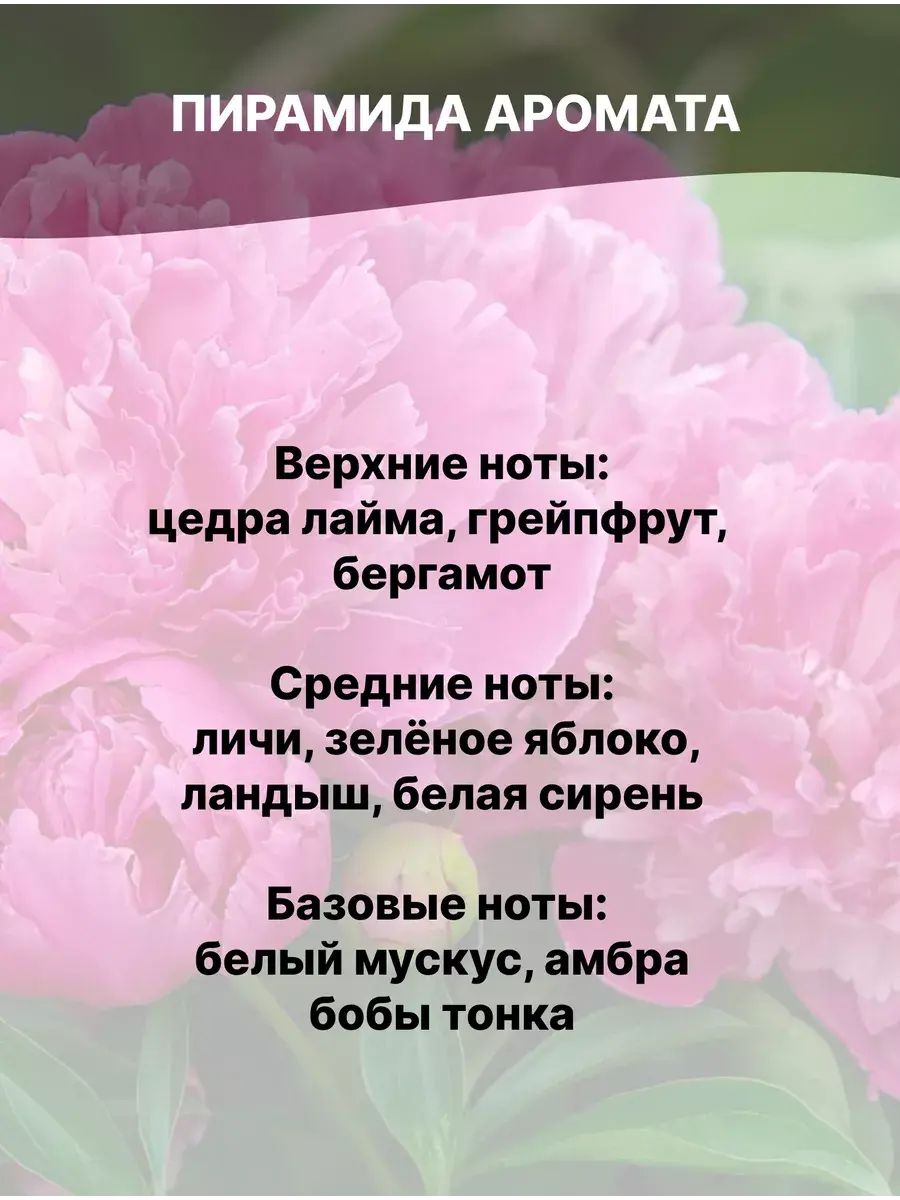 Отдушка Пион 100 гр — фото 1