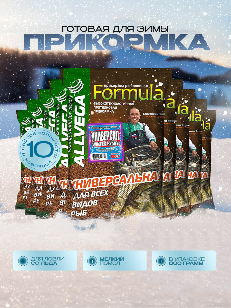 Прикормка для зимней рыбалки готовая ALLVEGA Formula Winter Ready универсальная 10 штук по 0.8 кг.