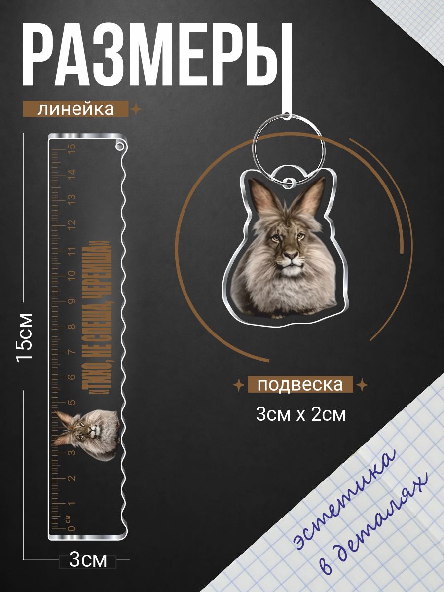 Линейка 15 см черемша — фото 1