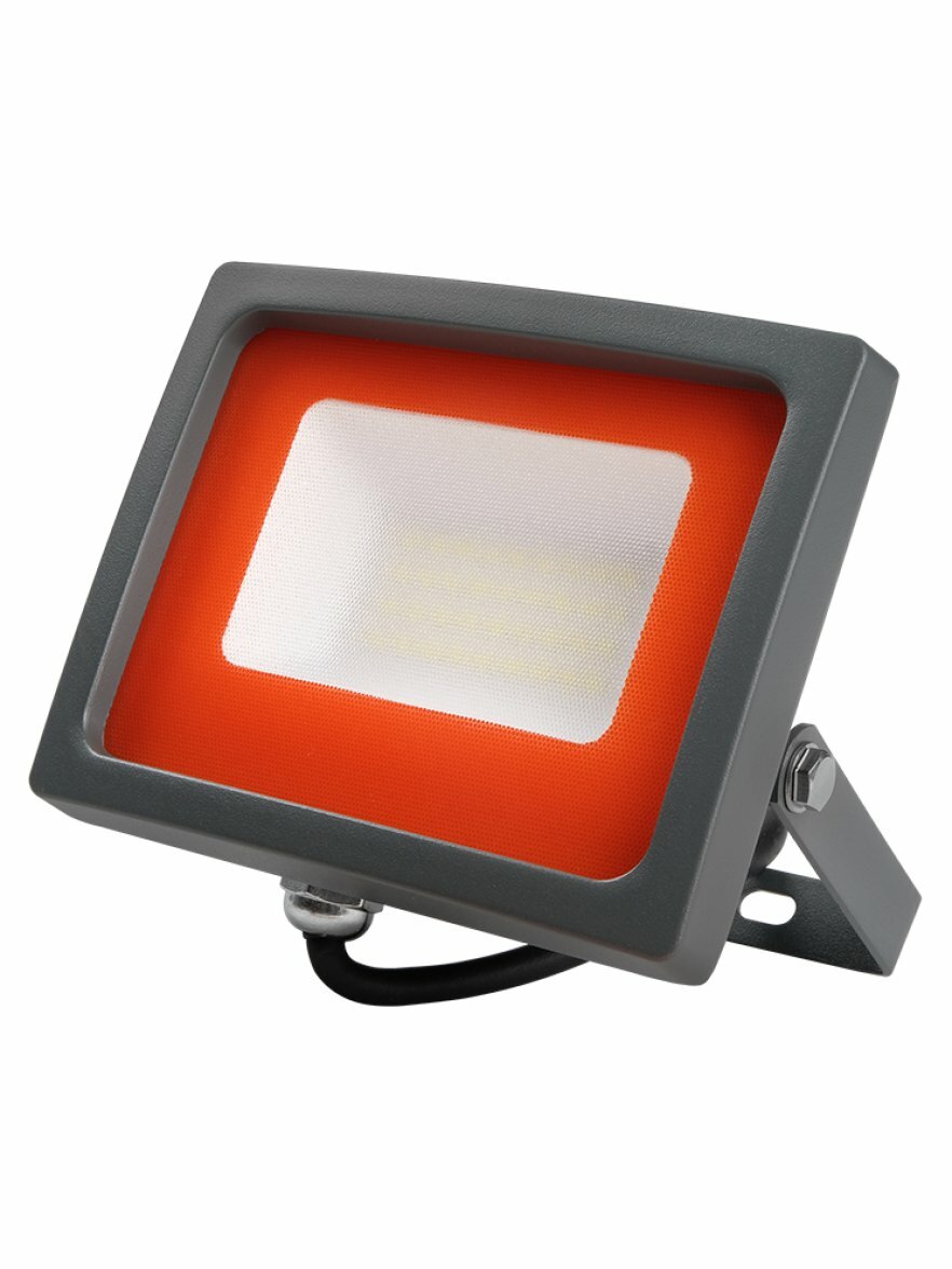 Прожектор Jazzway PFL-SC-SMD-30Вт 30Вт IP65 6500К мат. стекло 5001404