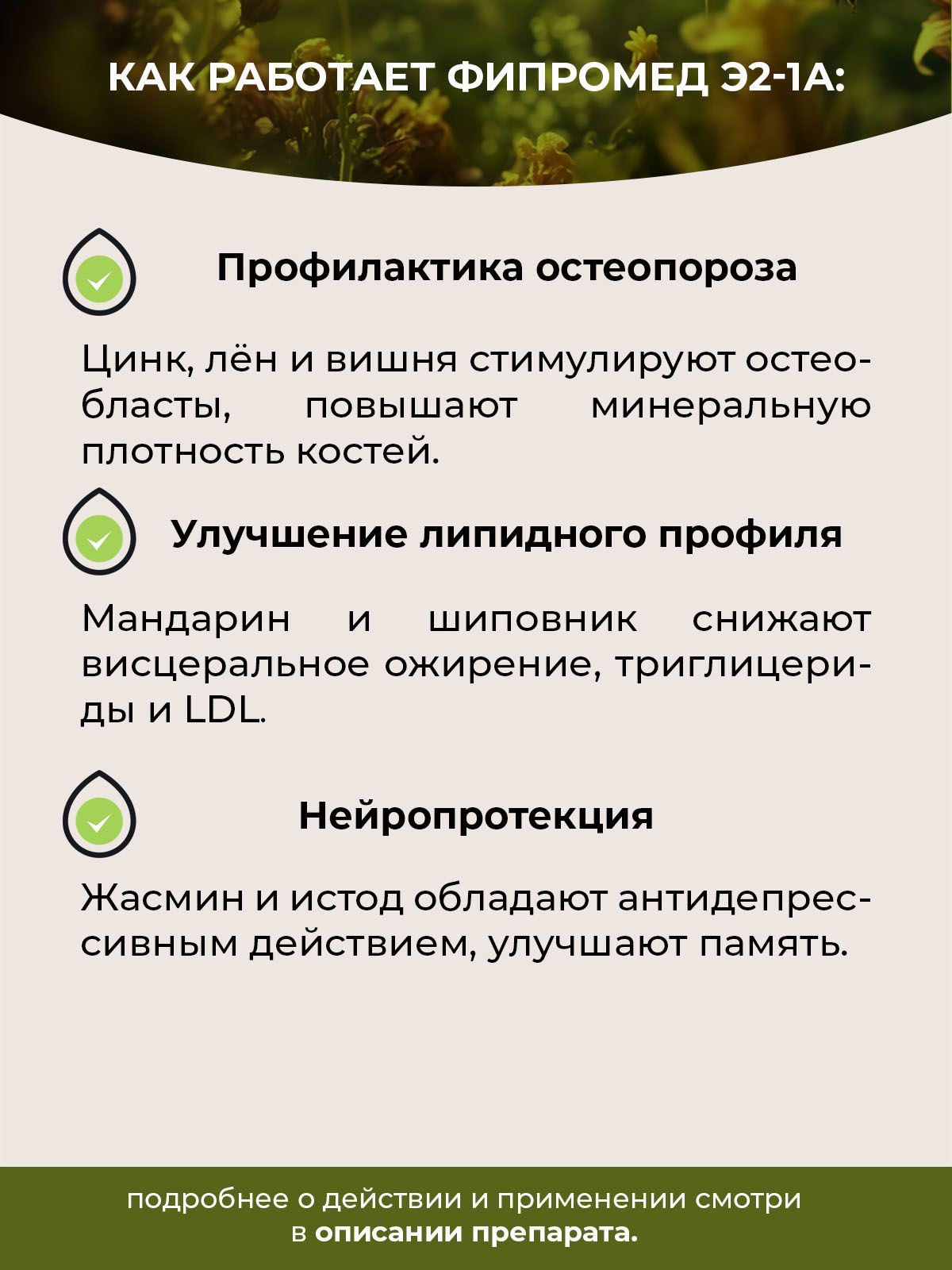 Фипромед Э2-1A Гиперкортицизм (Иценко-Кушинга), 50 мл. — фото 1