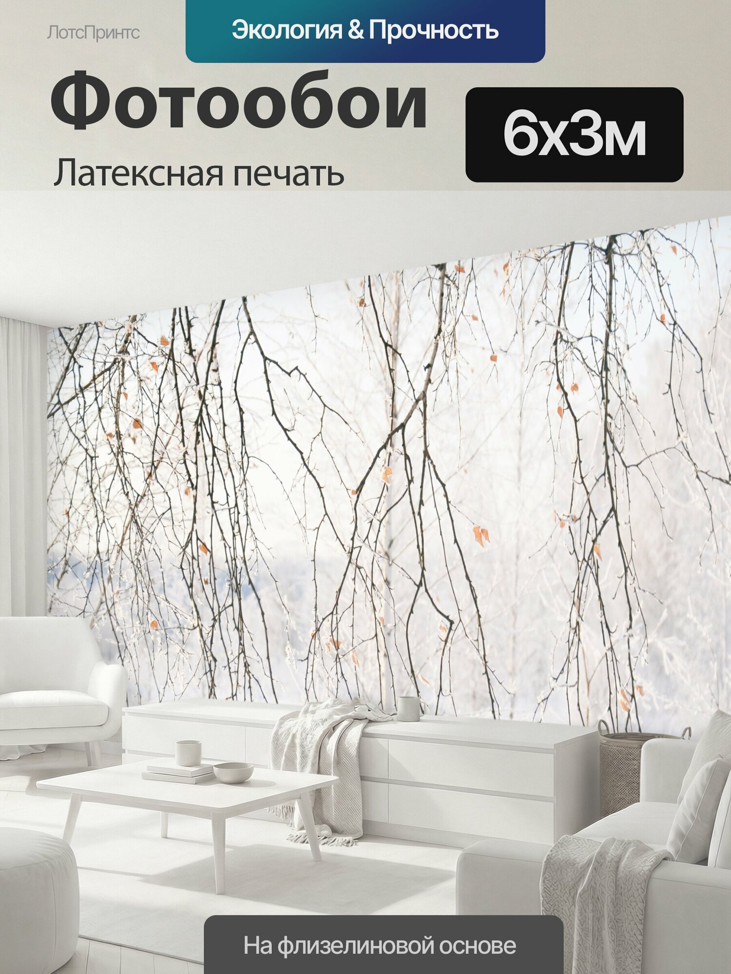 Фотообои моющиеся ударопрочные "Березовые ветки Березовые ветки в тумане березы лес туман ветки зима холод мороз фон размытый фон нервы" 600x300 см. латексная печать