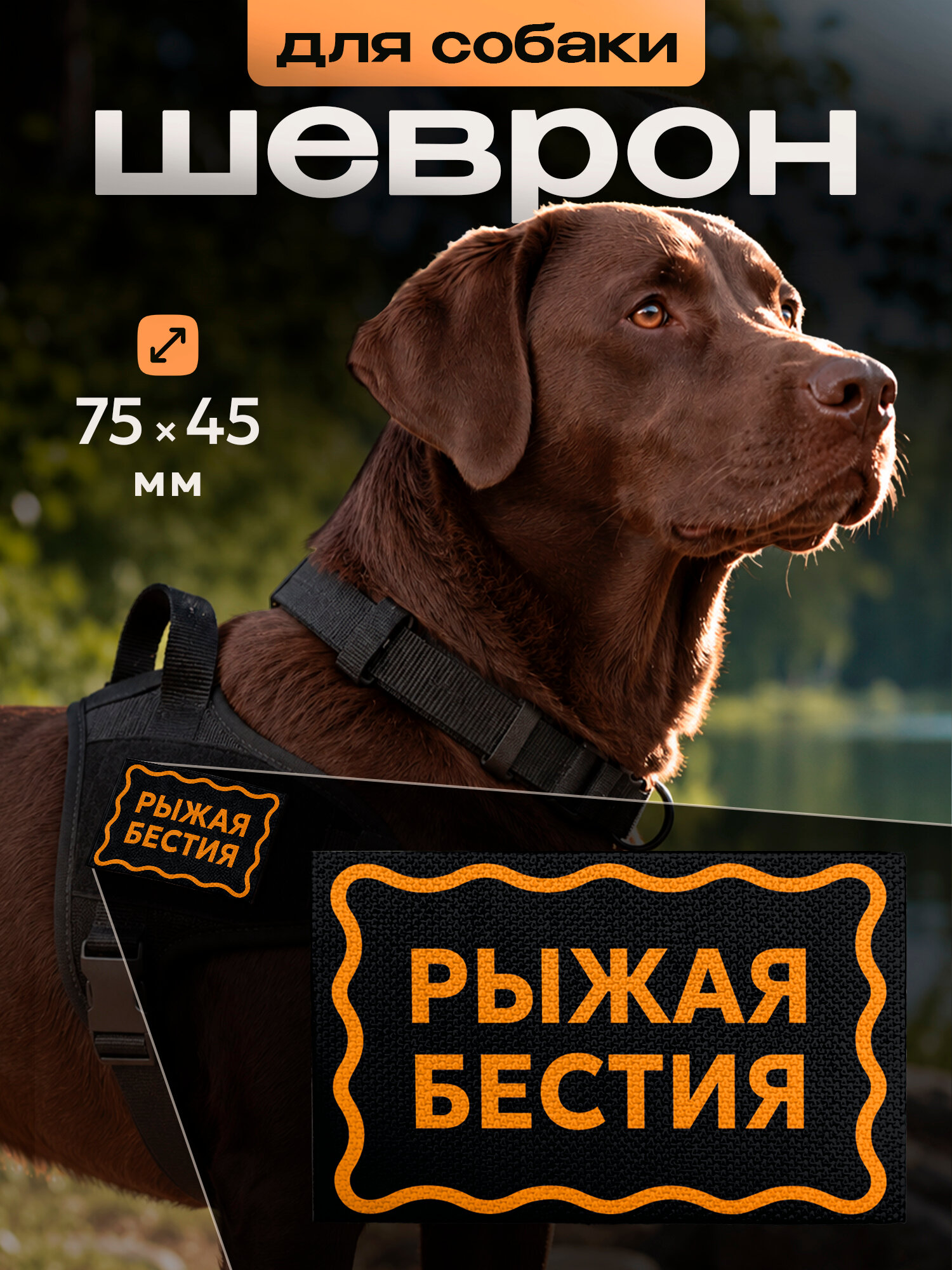 Шеврон IREVIVE, Рыжая бестия , на липучке, для формы, военному