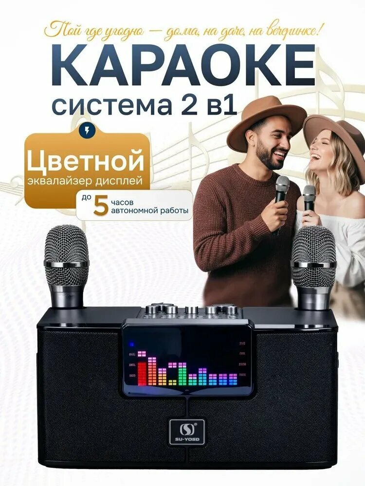 Караоке-система, для дома, с двумя микрофонами, беспроводная