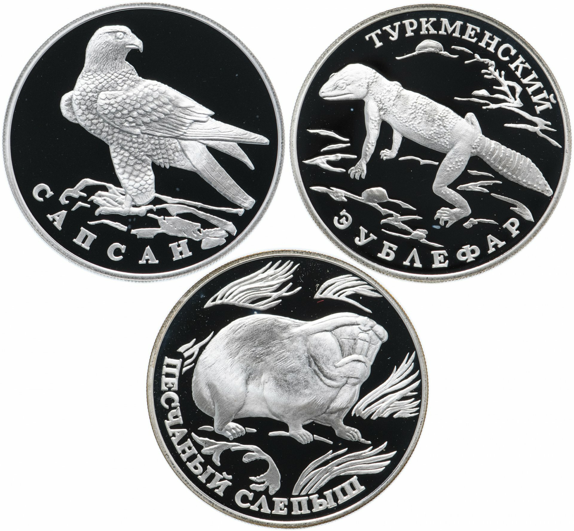 Набор из 3х монет 1 рубль 1996 ЛМД Proof "Красная книга - сапсан, слепыш, эублефар", Серебро 900