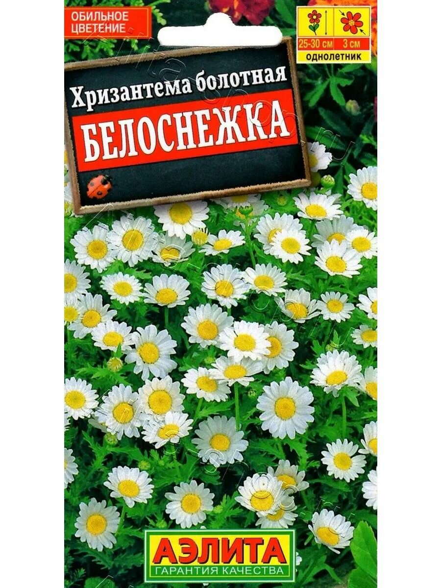 Семена "Хризантема Белоснежка"