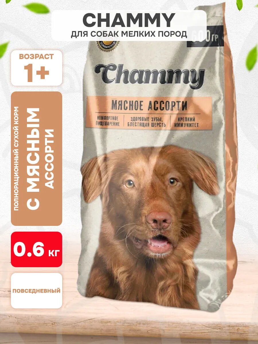 Корм сухой Chammy для взрослых собак мелких пород, мясное ассорти, 600 г