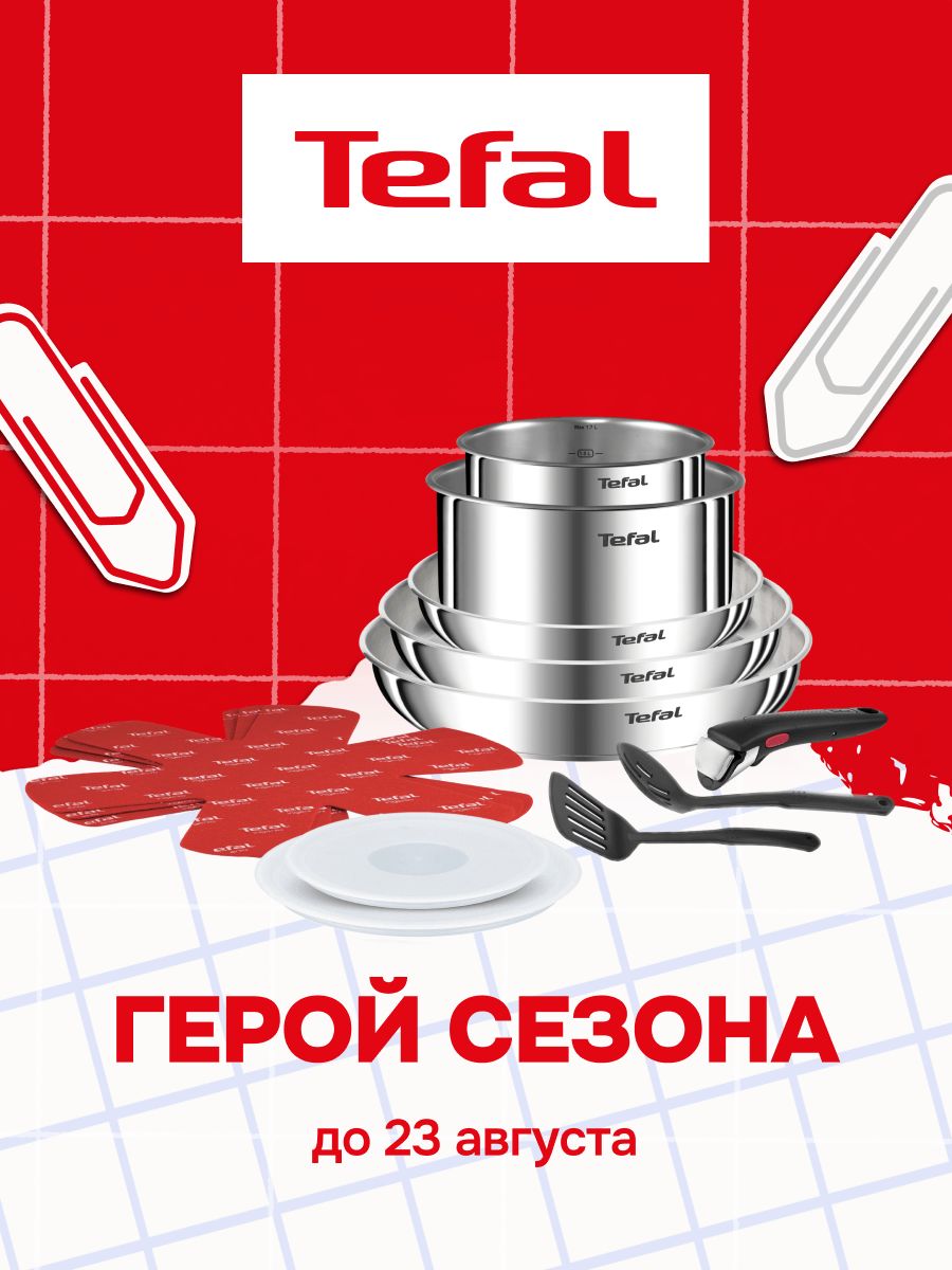 Набор посуды со съемной ручкой 13 предметов Tefal Ingenio Emotion L896SD04