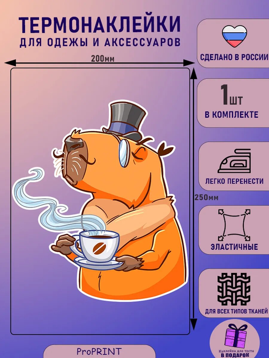 Термонаклейка на одежду