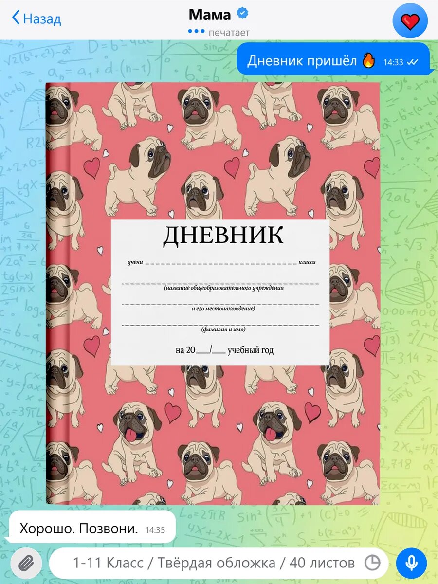 Школьный дневник с принтом Роблокс