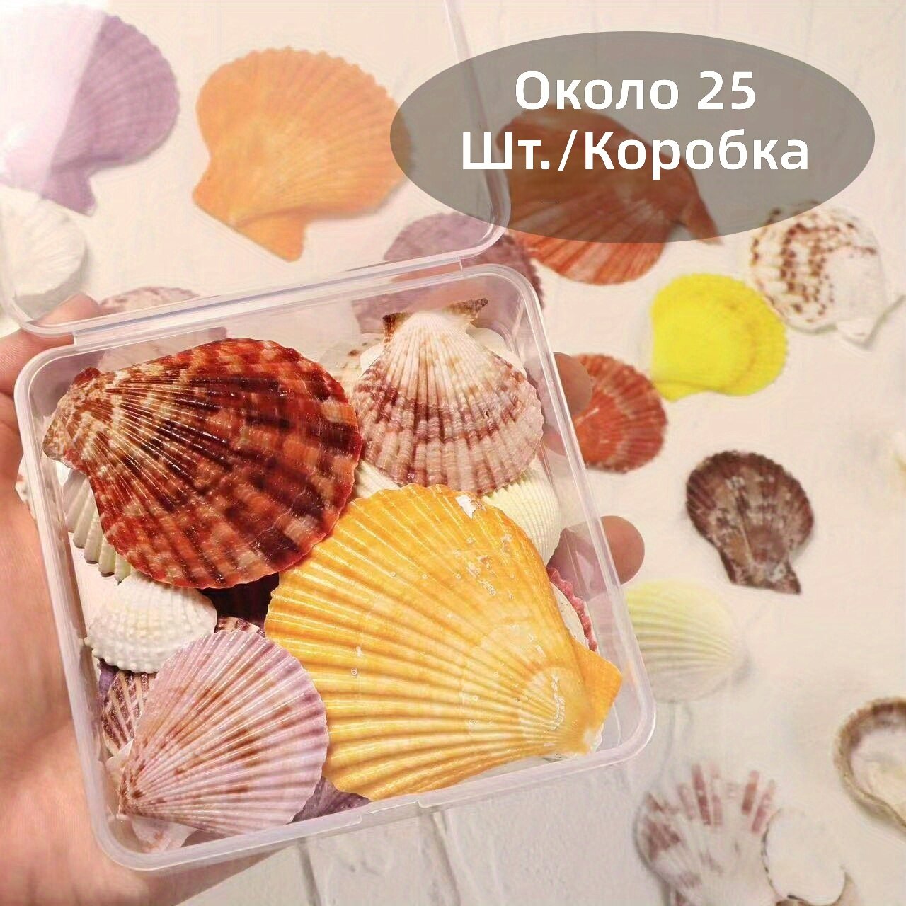 Ракушки гребешка (1 коробка, случайный цвет) – натуральные морские ракушки для аквариума и домашнего декора