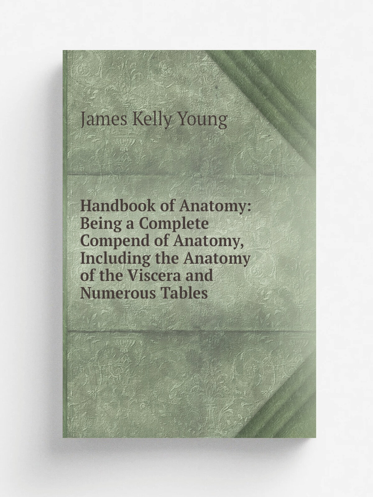 Handbook of Anatomy: Being a Complete Compend of Anatomy, Including the Anatomy of the Viscera and Numerous Tables