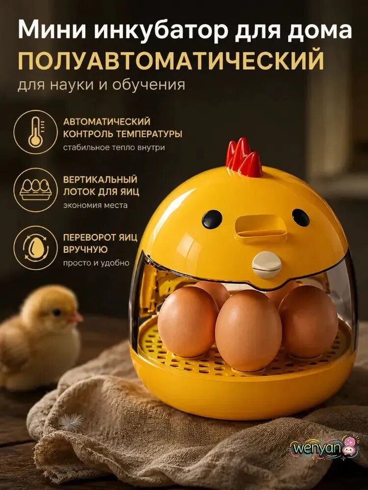 Автоматический домашний инкубатор на 4 куриных или перепелиных яиц бестселлер
