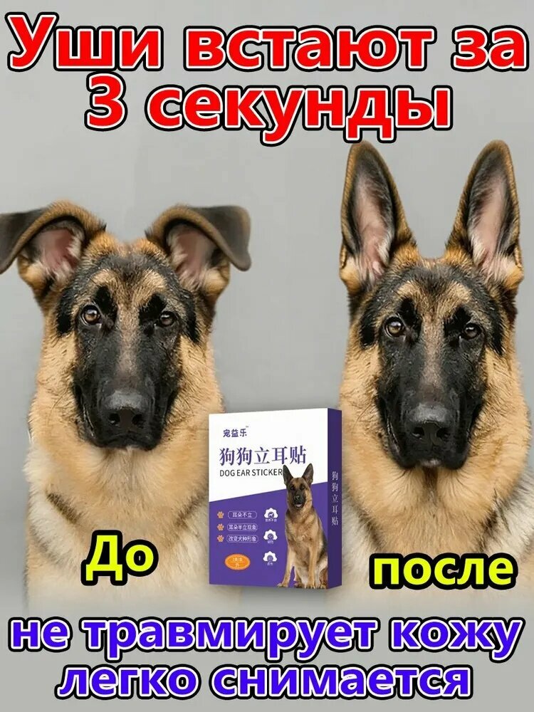 Подставка Для Ушей Собак, Коррекция И Поддержка, 1 Пара, Светло-Коричневый, Нетканый Материал, Долговечная И Практичная