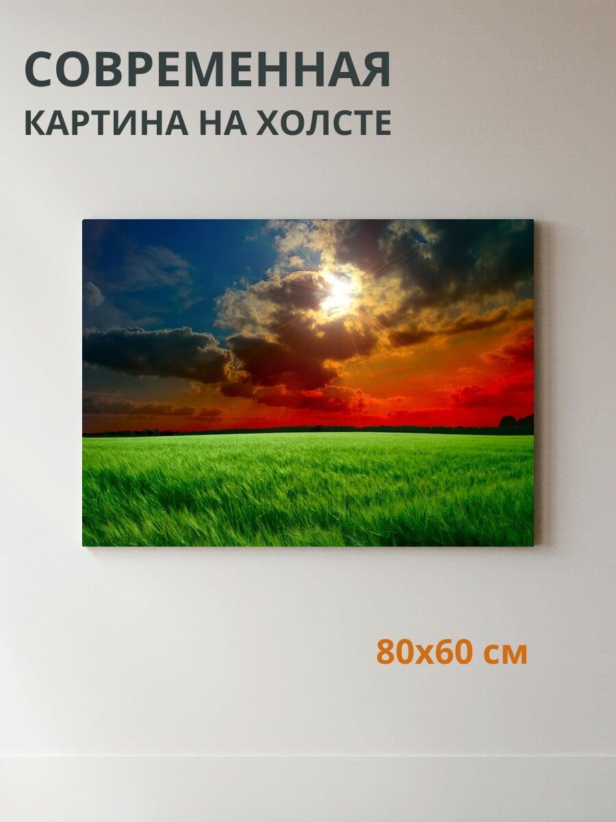 Картина на холсте Поле 80x60 см