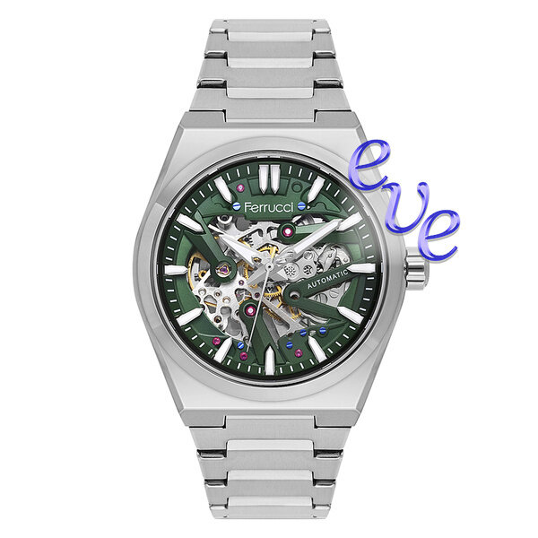 Наручные часы Ferrucci 3532-01