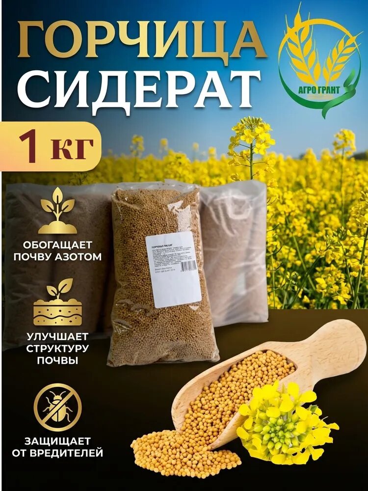 Горчица белая 1 кг семена пищевые натуральные, сидерат, для еды, для консервирования