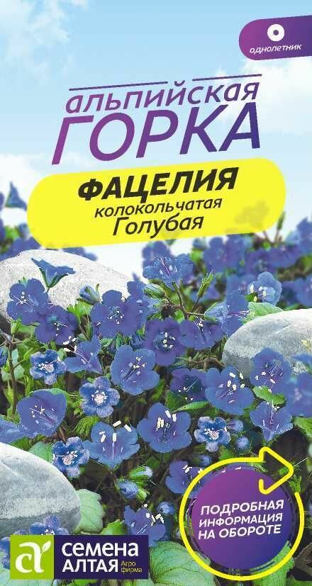 Семена Фацелия Голубая колокольчатая/Семена Алтая/цп 0,1 гр. Альпийская горка 0.1 гр для альпийской горки