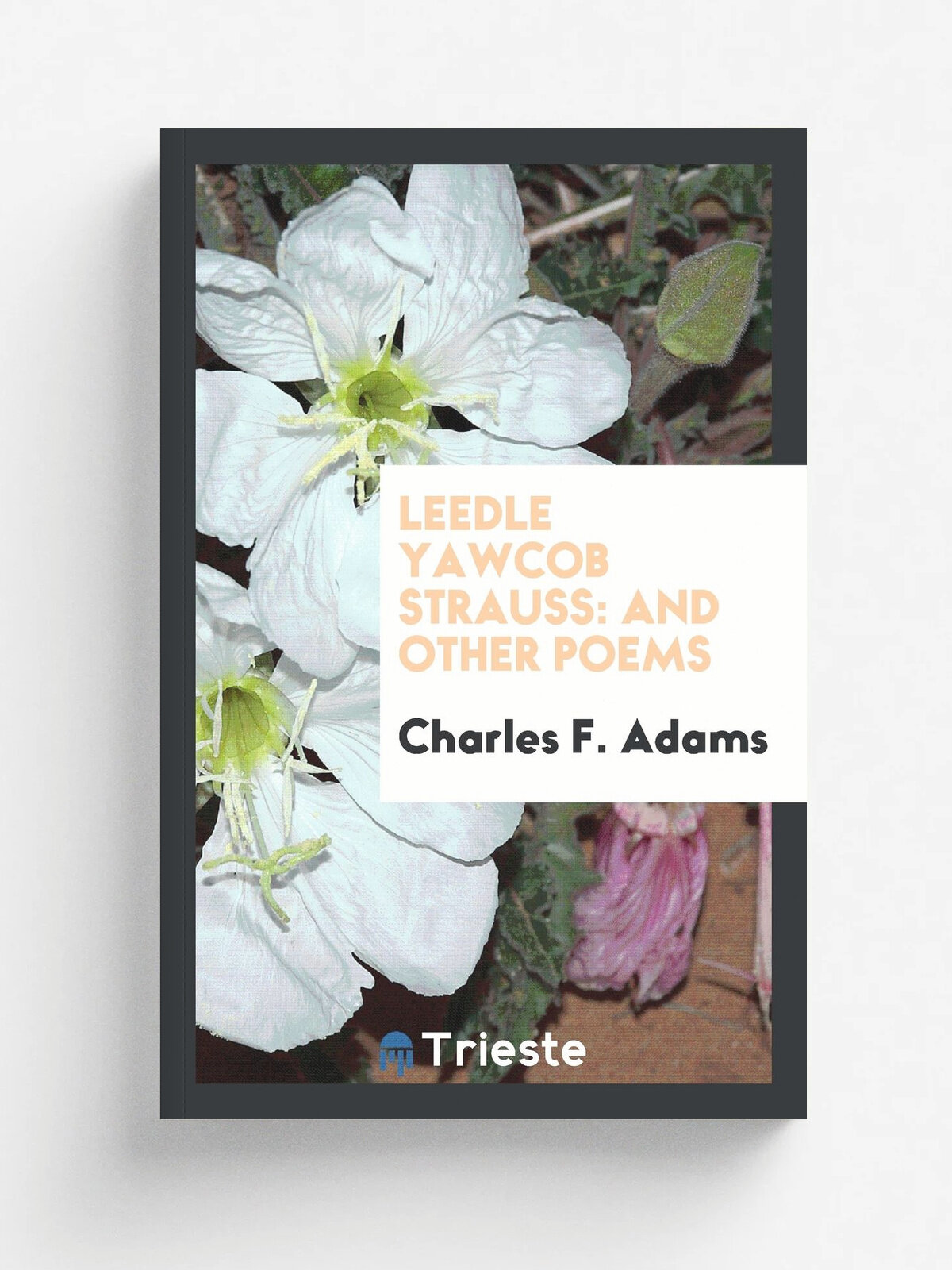 Leedle Yawcob Strauss. And Other Poems